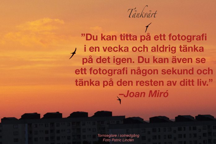 Betraktelse om foton i utskrift | Internetfoto